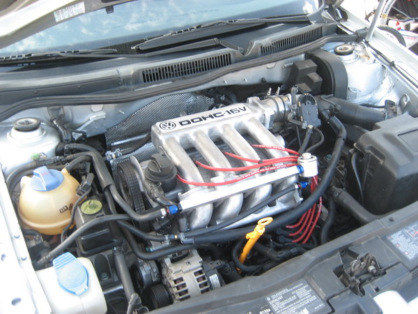 MK4/MKIV 2.0L 8v AEG/AZG -> 16v head swap | VW Vortex - Volkswagen Forum